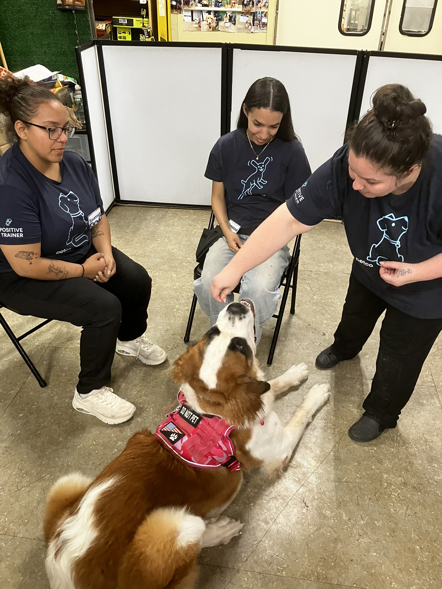 Esther’s Training: Getting Comfortable with Groups for Pet Therapy ...
